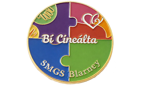 Custom School Badges & Crests Ireland | Abbey Badges